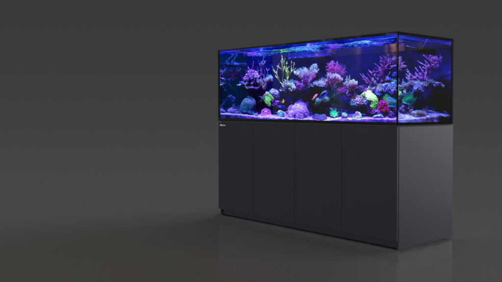 REEFER-S 1000 noir G2+ - MarineHome